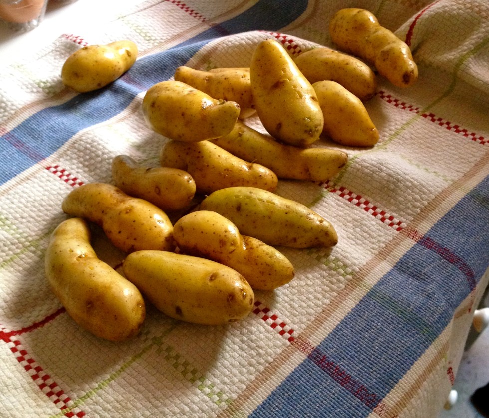 Fingerling Potato and Pepper Hash | Figsinmybelly